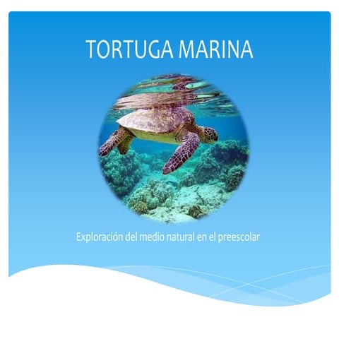 Tortuga marina | PPTX