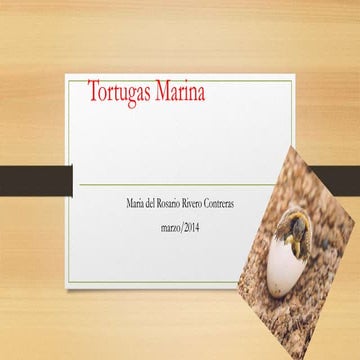 tortugas.pdf