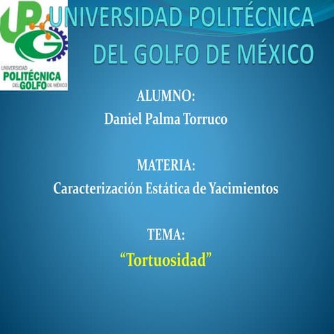 Tortuosidad | PPTX