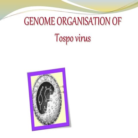 Tospovirus - Genome organization.ppt