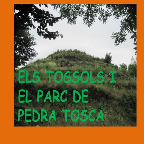 Tossols | PPT