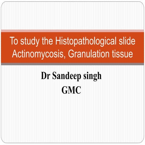 To study the histopathological slide | PPT