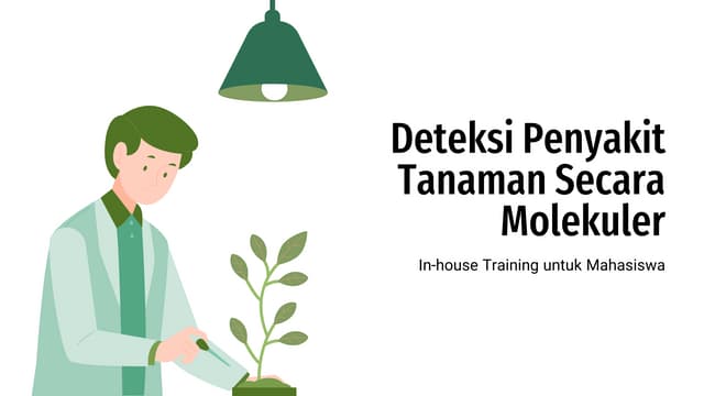 Plant Disease Detection Pptx