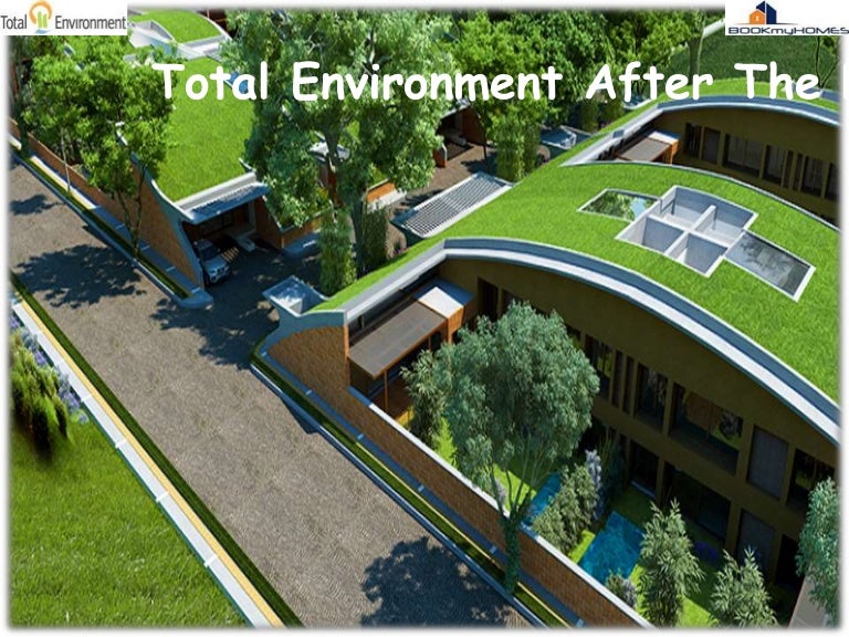 Total environment after the rain