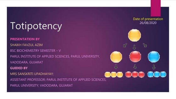 Cellular toti potency its process and applications | PPTX