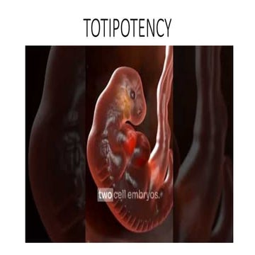 TOTIPOTENCY, PLURIPOTENCY AND CANCER.pptx