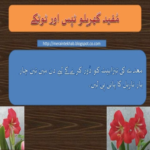 Totkay In Urdu Language | PPTX