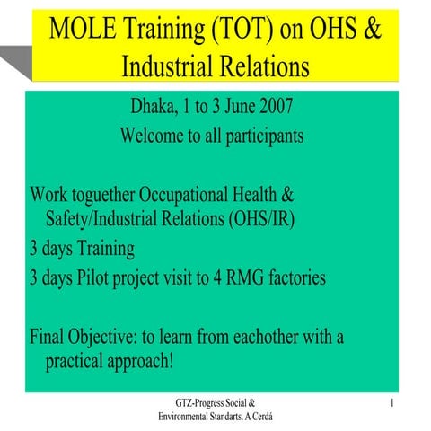 Tot & pilot project program presentation 300507 | PPT