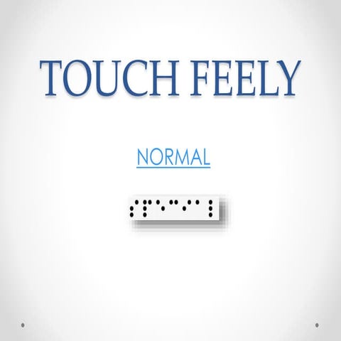 TOUCHY FEELY APP | PPSX