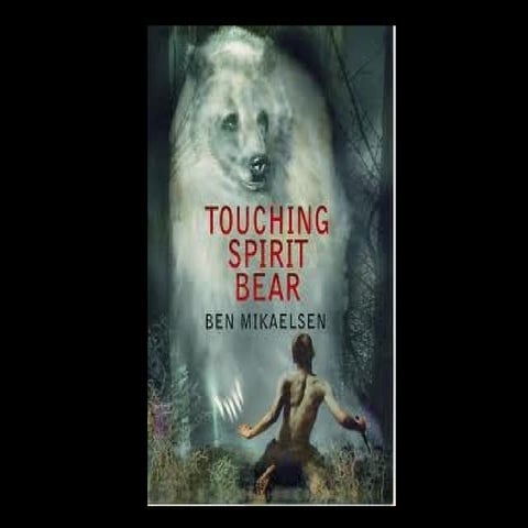 Touching spirit bear