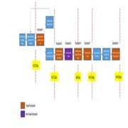 Touchpoints points aspersions Flow (1).pptx