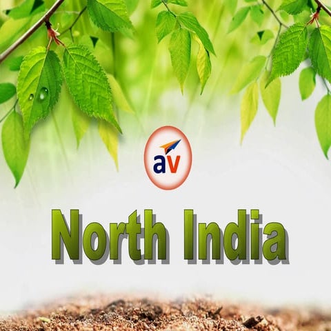 Discover India - Tour to north india | ODP