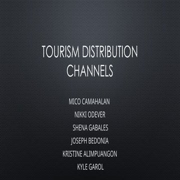 Tourism Distributioxczcczczn Channels.pptx