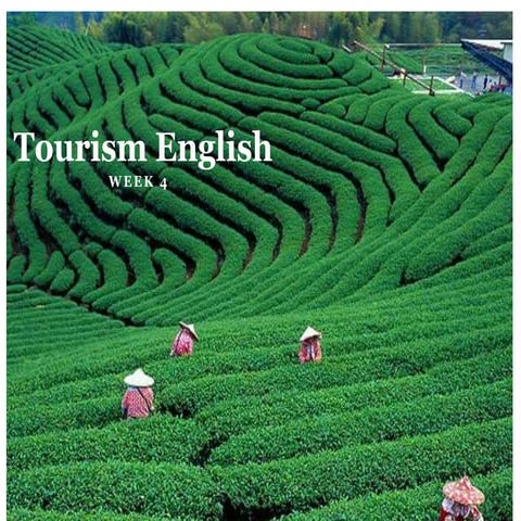 Tourism english 4 | PPTX | Hotels and Motels | Travel Type