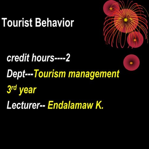 Tourist Behavior.pptx