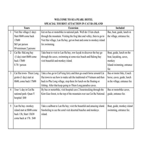 Tourist package | DOCX