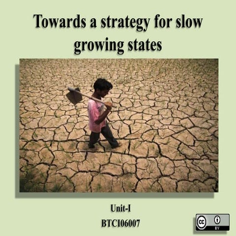 Towards a Strategy for Slow Growing States | PPT