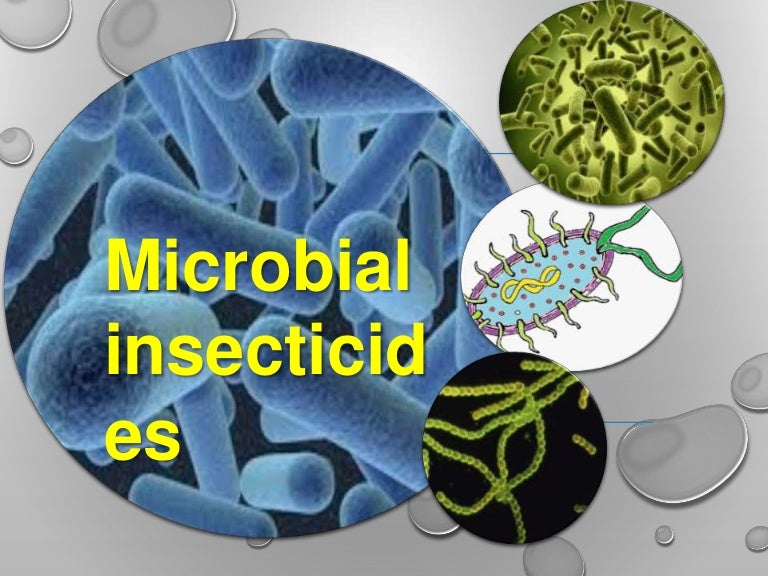 microbial insecticides