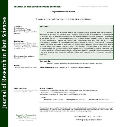 Toxic effect of copper on ten rice cultivars | PDF