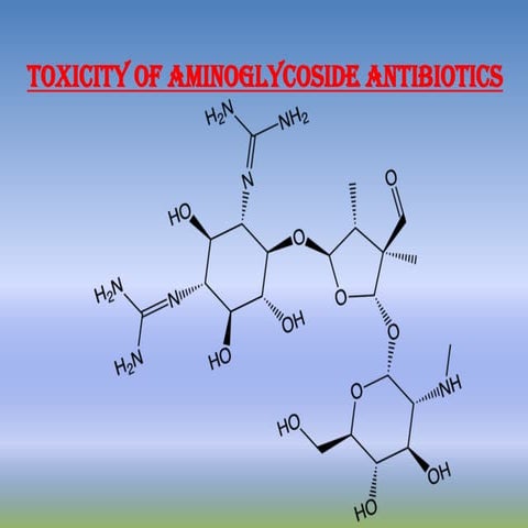 Toxicity of aminoglycoside antibiotics | PPTX
