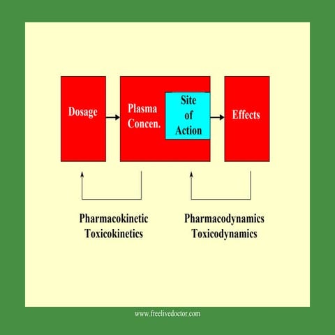 Toxicokinetics | PPT
