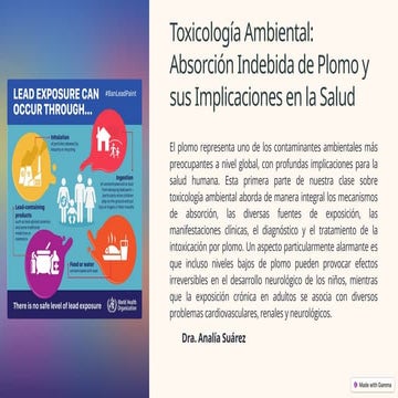 Toxicologia-Ambiental-Absorcion-Indebida-de-Plomo-y-sus-Implicaciones ...
