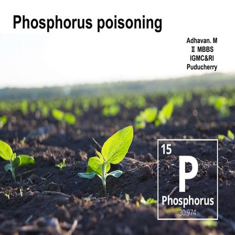 Toxicology - Phosphorus Poisoning | PPTX