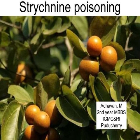 Toxicology - Strychnine / strychnos nux-vomica poisoning | PPTX