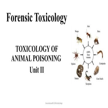 SCORPION (AGAD TANTRA AND TOXICOLOGY).pptx