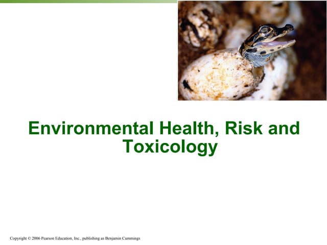 Classes of Toxic Chemicals and Their Effects | PPTX