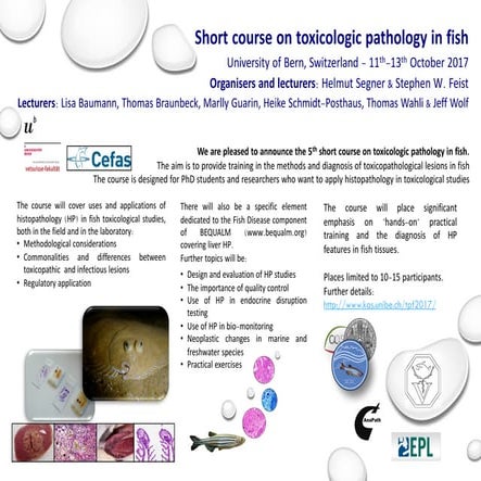 Pathology in Fish | PDF