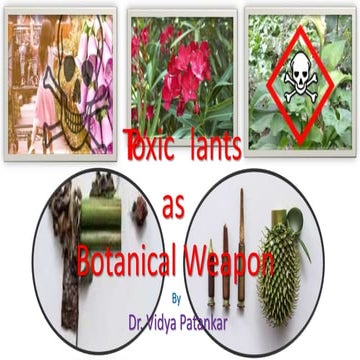 Toxic plants.pptx