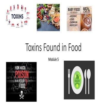 Toxins Found in Food.pptx