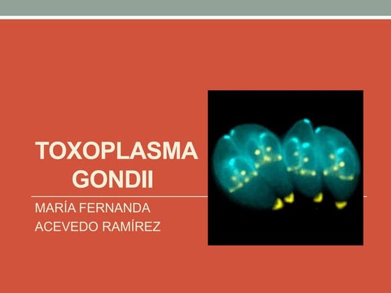 Toxoplasmosis | PPTX | Infectious Diseases | Diseases and Conditions