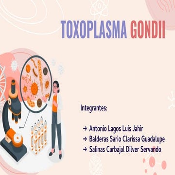 Toxoplasma Gondii .pptx