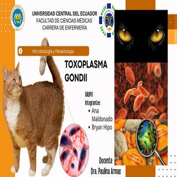 TOXOPLASMA GONDII.pdf diapositivas prueba serológicas, epidemiología y ...