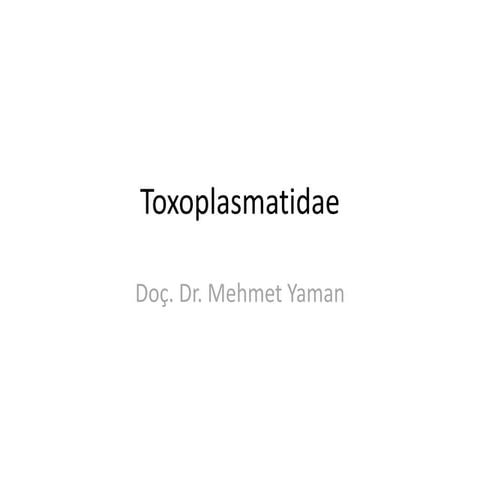 toksoplazma | PDF