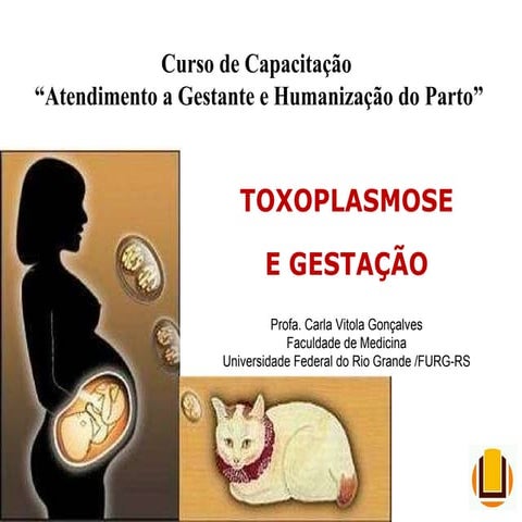 Fluxograma para manejo da toxoplasmose adquirida na gravidez e ...