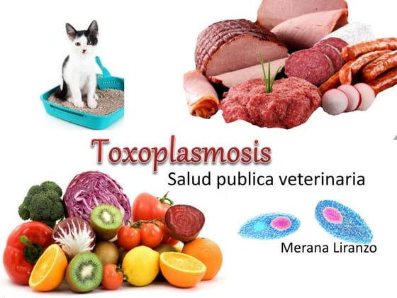 Toxoplasmosis | PDF