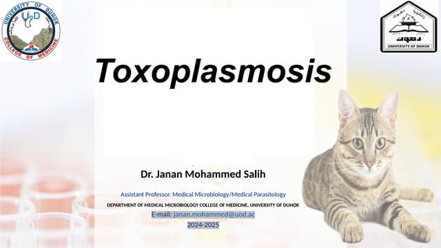 Toxoplasmosis.pptx