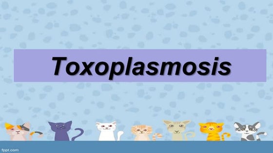 An overview of toxoplasmosis | PPTX | Pregnancy | Reproductive Health