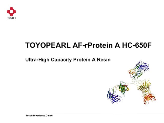 TOYOPEARL GigaCap DEAE product information
