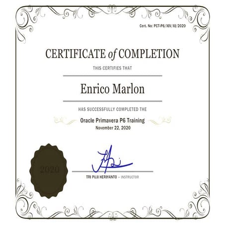 Primavera P6 Training - Schedule & EVM Course | PDF