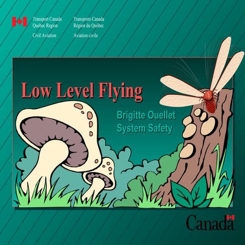 Low level-flying | PPT