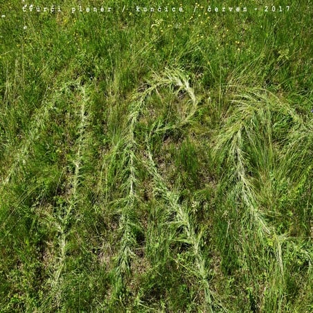 Katalog TP 2017 | PDF