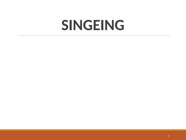 Presentation on Textile Singeing | PPTX