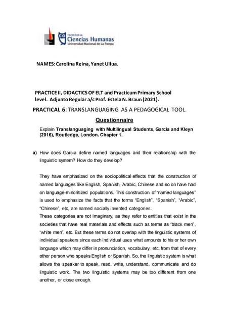 Translanguaging theory. questionnaire. | DOCX | Programming Languages ...