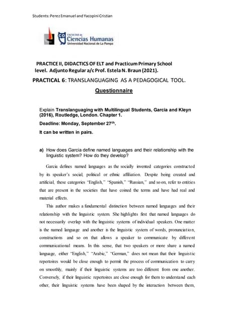 Translanguaging theory. questionnaire. | DOCX | Programming Languages ...