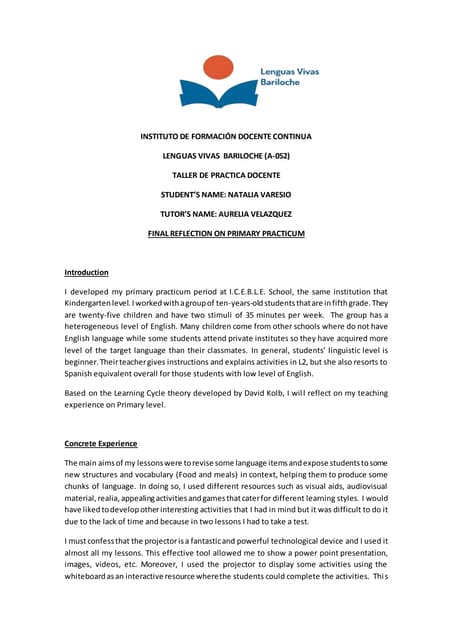 Primary Level - Final Reflections | PDF