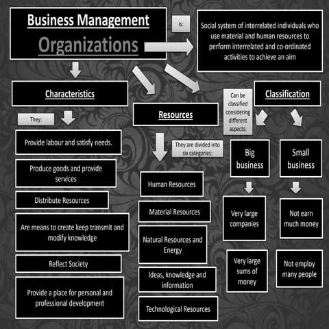 Business Management Organizations | PPT